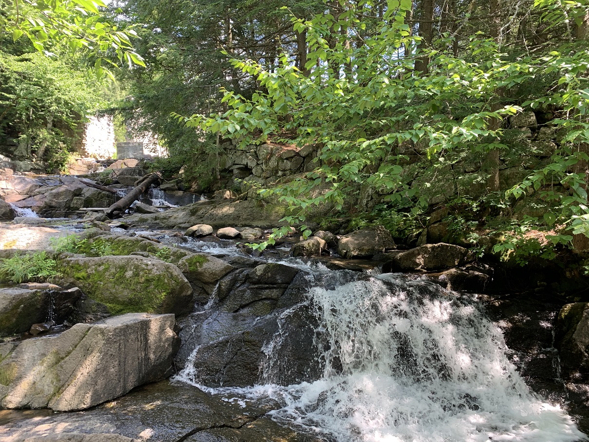 Carbide Willson Ruins - Ottawa Kids